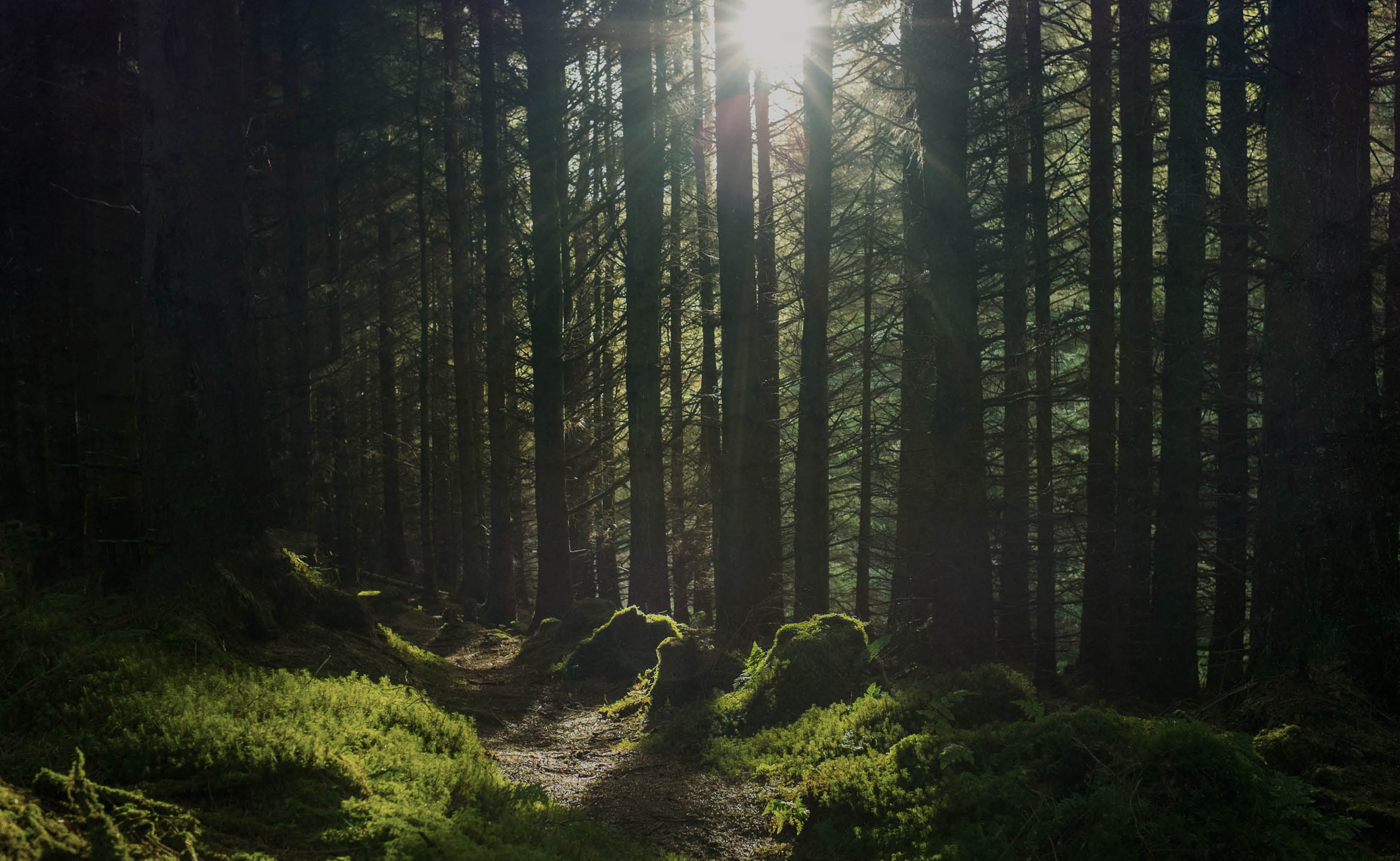 Climate-Related And Environmental Risk Disclosures: Key findings And ...