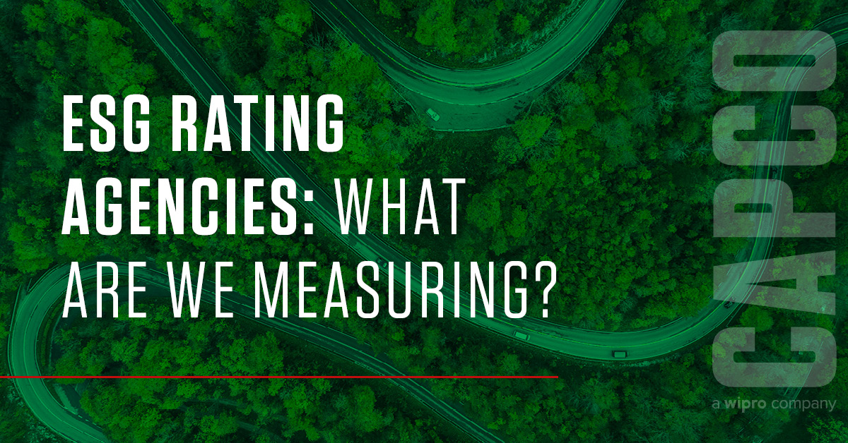 ESG rating agencies: What are we measuring?