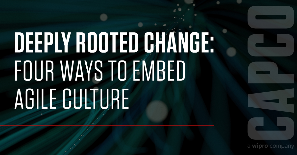 Deeply Rooted Change: Four Ways To Embed Agile Culture
