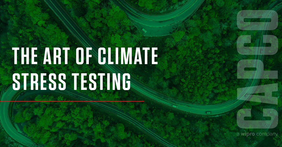 The art of Climate Stress Testing